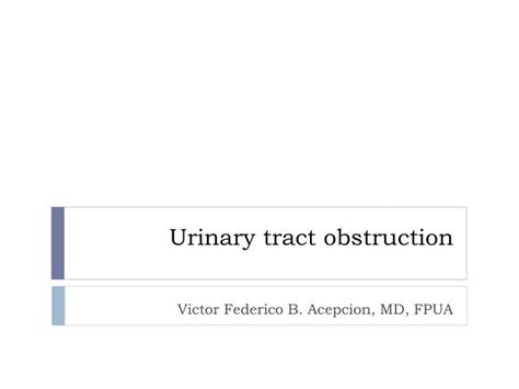 Ppt Urinary Tract Obstruction Powerpoint Presentation Free Download