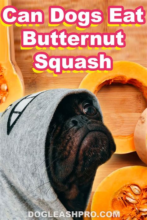 Can Dogs Eat Butternut Squash Frozen Butternut Squash Roasted