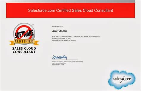 Amit Joshi Certified Sales Cloud Consultant