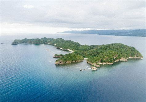 Spotlight On Philippine Reef And Rainforest Conservation Foundation