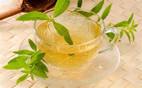 14 Propiedades De La Hierba Luisa Para La Salud