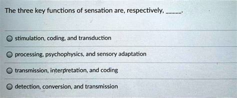 The Three Key Functions Of Sensation Are Respectively Stimulation