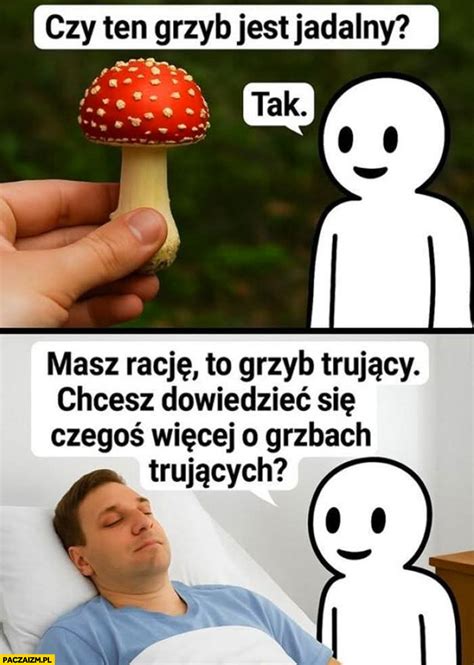 Czy Ten Grzyb Jest Jadalny Ai Chat Gpt Tak Masz Rację To Grzyb