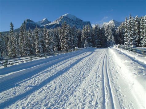 Beautiful Bow River Loop Skierbobca