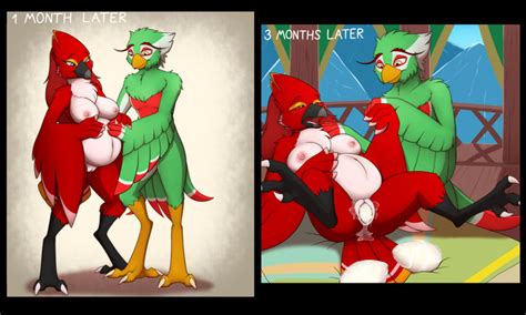 Rule 34 After Sex After Transformation Anthro Avian Big Belly Big