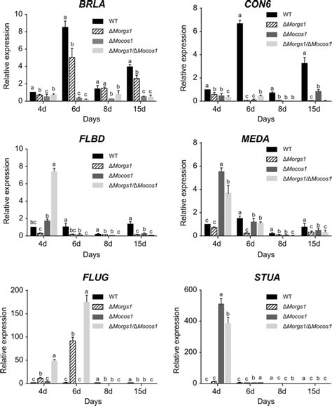 Quantitative Real Time Reverse Transcription Pcr Qrt Pcr Analyses Of