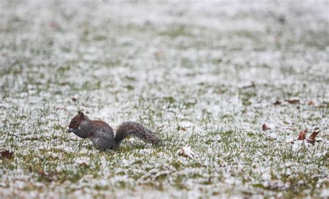 Lehigh Valley Weather How Much Snow Will You Get This Weekend Our