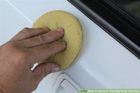 Ways To Remove Tree Sap From Your Car WikiHow