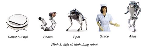 Chuyên đề Tin Học 10 Bài 1 Cánh Diều Robot Giải Chuyên đề Tin Học 10
