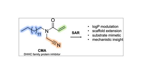 Charting The Chemical Space Of Acrylamide Based Inhibitors Of Zdhhc20