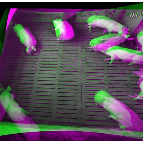 Image Pairs At Various Stages Of Pre Processing Download Scientific