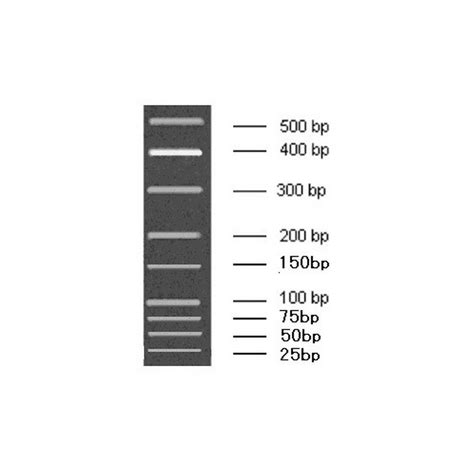 Marcador De Peso Molecular De Adn Low Range Biobasic Listo Para Usar