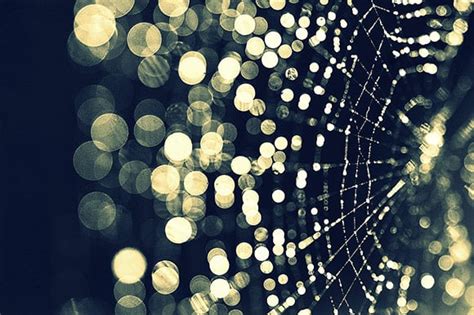 50 Awe Inspiring Examples Of Bokeh Photography