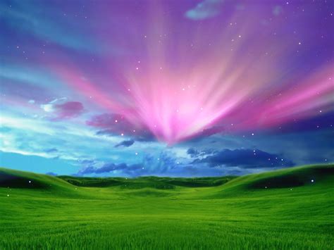 Bliss Pic