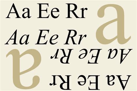 Times New Roman Font