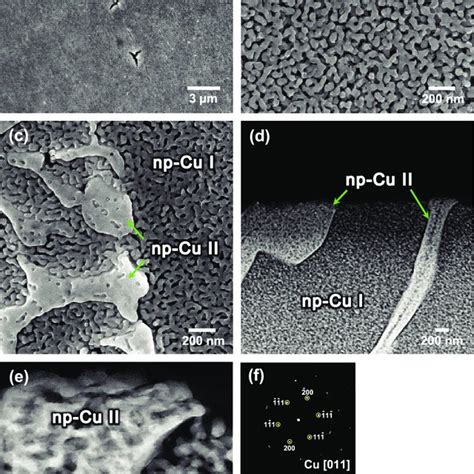 A Low Magnification And B High Magnification Sem Micrographs Of The