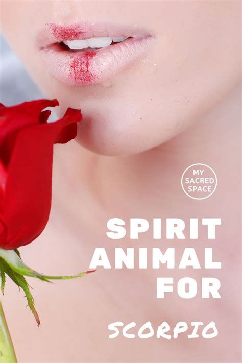 Spirit Animals Zodiac Signs Spirit Animal Zodiac Signs Spirit