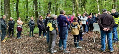 La Brûlatte Randonnée En Forêt Pressage Des Pommes Et Cidre Laval