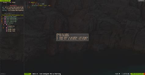 Rust Vim整合基于rust Analyzer 腾讯云开发者社区 腾讯云