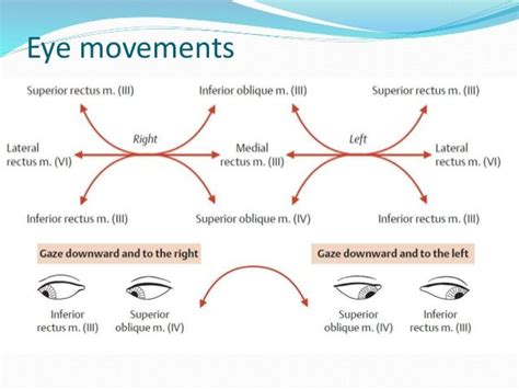 Reconciling Visual Field Defects And Retinal Nerve Fibre Layer