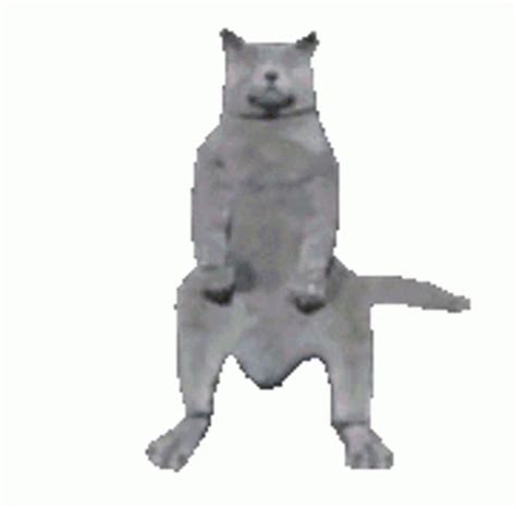 Swag Cat Nae Nae Cat Sticker Swag Cat Nae Nae Cat Whip Discover