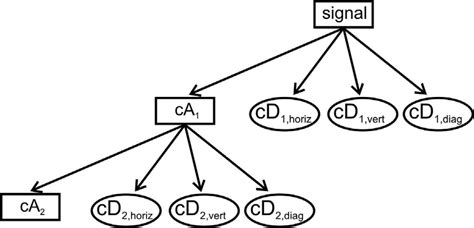 scheme of two dimensional discrete wavelet decomposition of echo signal