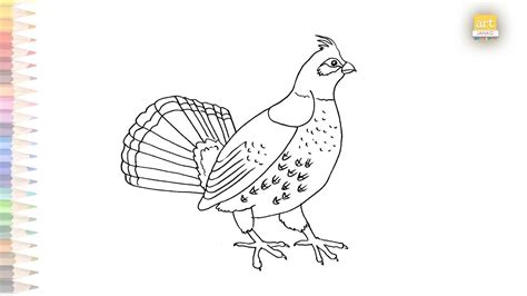 Ruffed Grouse Drawing