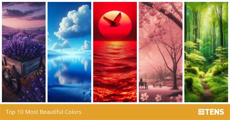 Most Beautiful Color