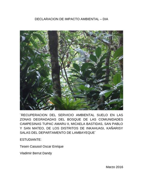 Declaracion De Impacto Ambiental Pdf Los Bosques Cuenca De Drenaje