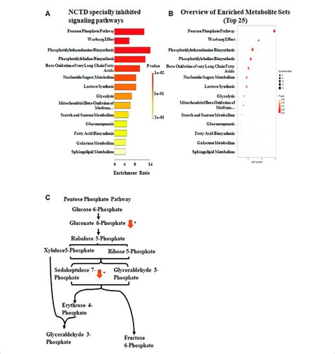 Enrichment Pathway Analysis Based On Ce Ms A Metabolic Pathway