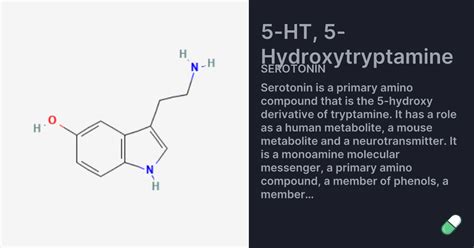 5 Ht 5 Hydroxytryptamine Serotonin Pump
