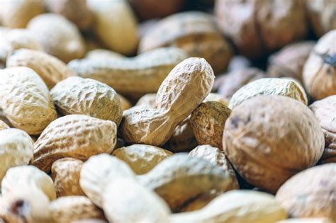 Peanuts Nuts Bunch Free Photo On Pixabay Pixabay