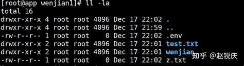Linux 如何拷贝和删除隐藏文件 知乎