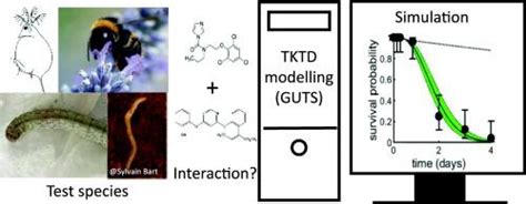 How To Analyse And Account For Interactions In Mixture Toxicity With Toxicokinetic Toxicodynamic