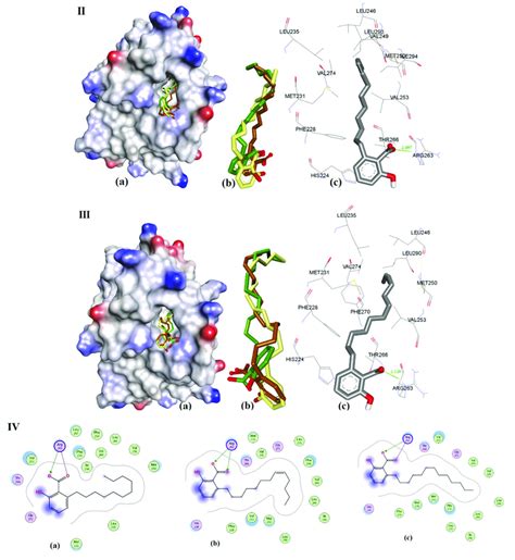 Representation Of Modeling For I 3d II 3e And III 3f A The
