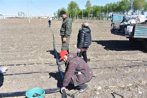 白城市洮北区：“旱作节水”促农增产增收医药医改频道东方养生