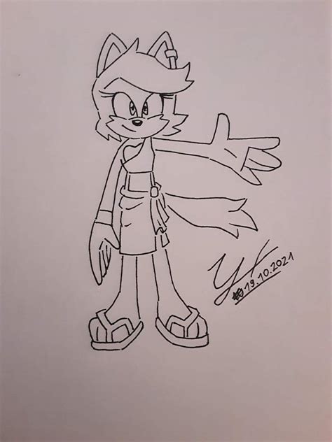 Need A Name For Oc Sonic The Hedgehog Amino