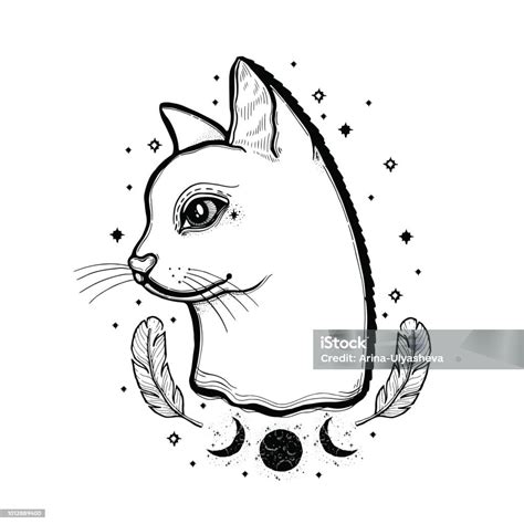 神秘とオカルトの手でスケッチ図の猫にはシンボルが描かれていますベクトルの図占星術と難解な概念古いファッション入れ墨をしたヴィンテージの手