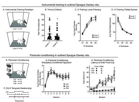 Instrumental And Pavlovian Conditioning In Outbred Rats N39 A