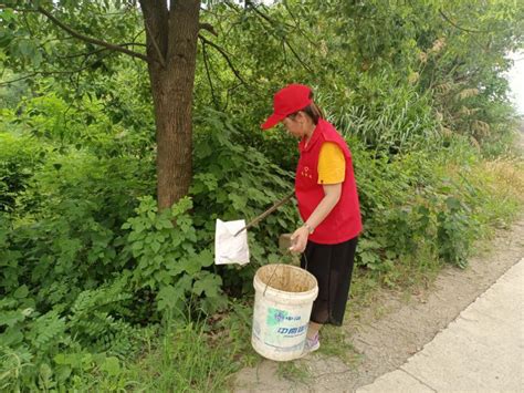 巾帼志愿服务丨桐城市龙腾街道望城村妇联：倡导文明新风，共建美丽家园澎湃号·政务澎湃新闻 The Paper