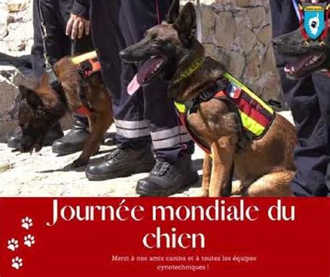 Journée mondiale du chien Merci à nos amis