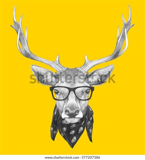 Portrait Deer Glasses Scarf Hand Drawn Stock Illustration 377207386