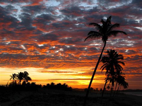 Brazilian Sunset Paul Hallford Flickr