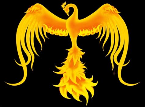 Swirly Things Masonillustration