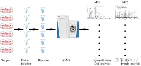 蛋白组学 知乎