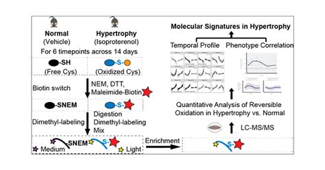 Integrated Dissection Of Cysteine Oxidative Post Translational