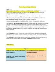 Chapter Lab Activity Final Docx Course Chapter Six Lab Activity