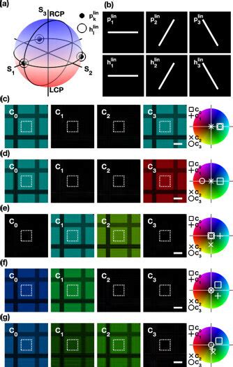 Simulations Of Measurements With The Linear Polarization Scheme A Download Scientific