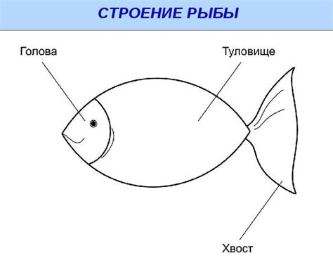 Сделай схематический рисунок и вычисли 2 класс
