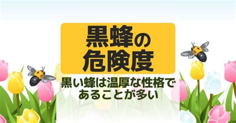 黒い蜂は5種類もいる！ガラの悪そうな黒蜂たちの危険レベルと対処法 ハチ110番